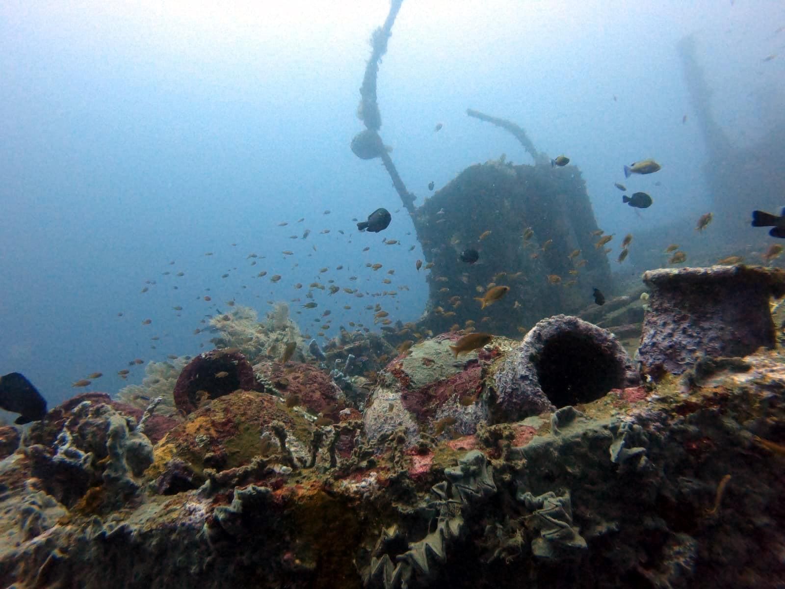 Boga Wreck: Shipwreck dive with Ecodive Bali